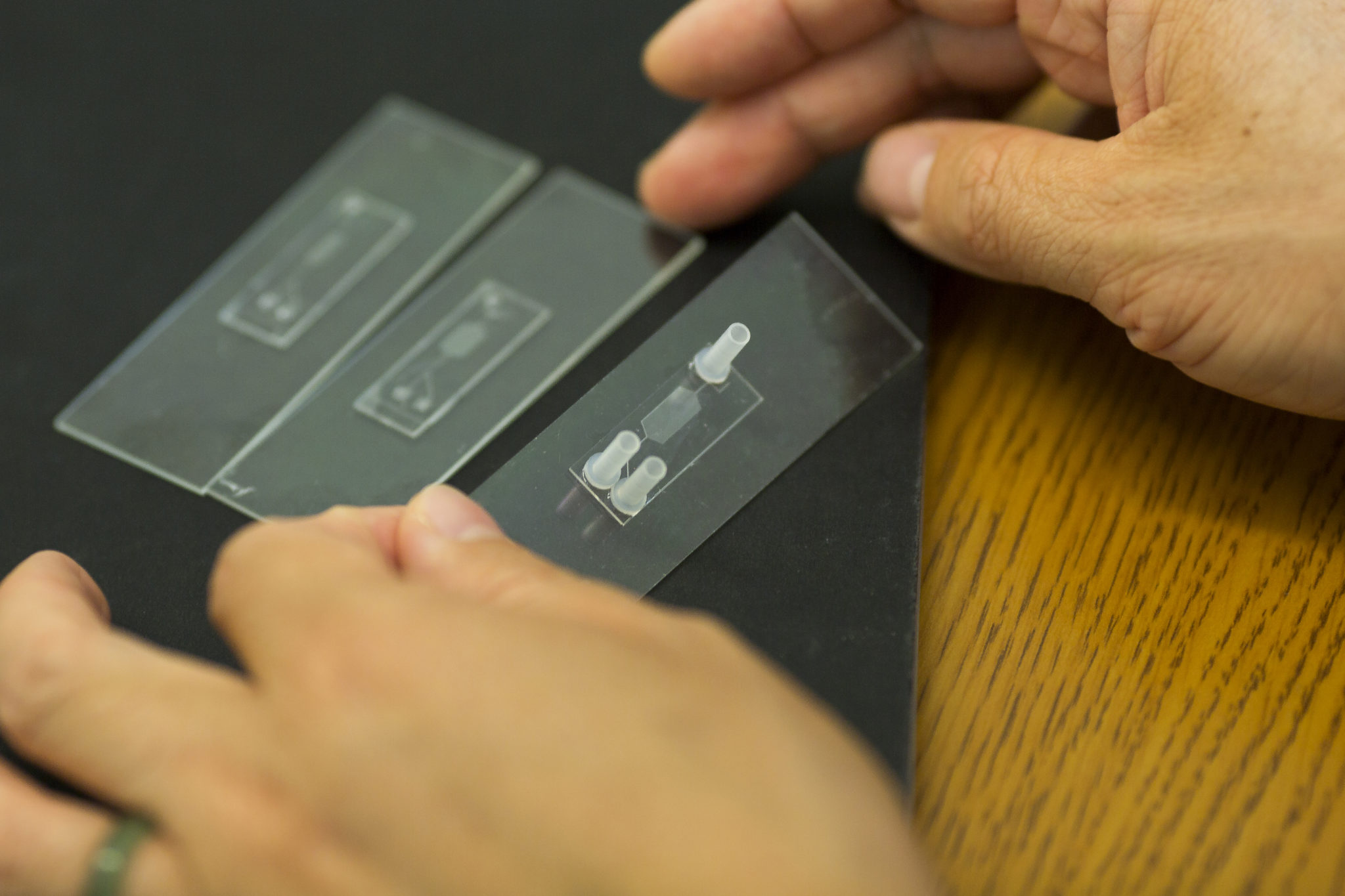 Lin Laboratory – Home for Lin Laboratory