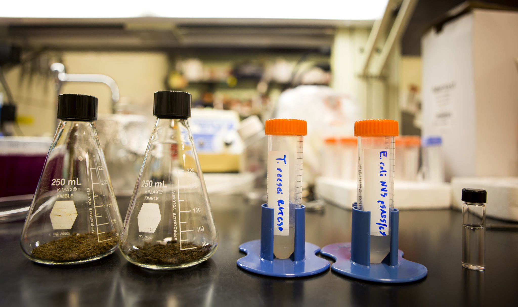 Lin Laboratory – Home for Lin Laboratory