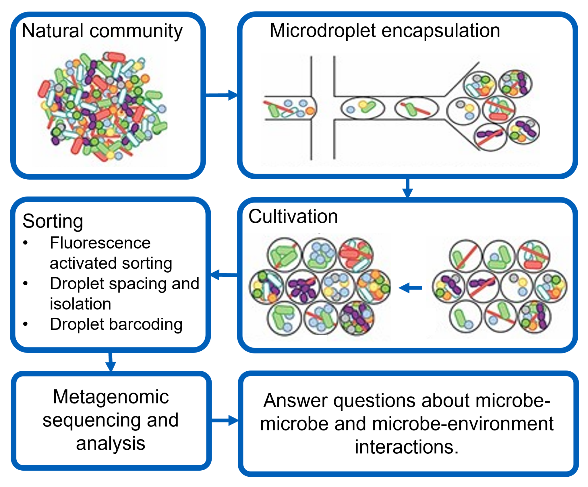 Research – Lin Laboratory